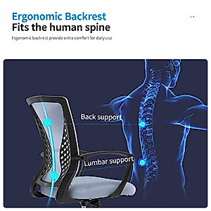 Home Office Chair Mid Back PC Swivel Lumbar Support Adjustable Desk Task Computer Ergonomic Comfortable Mesh Chair with Armrest (Grey)