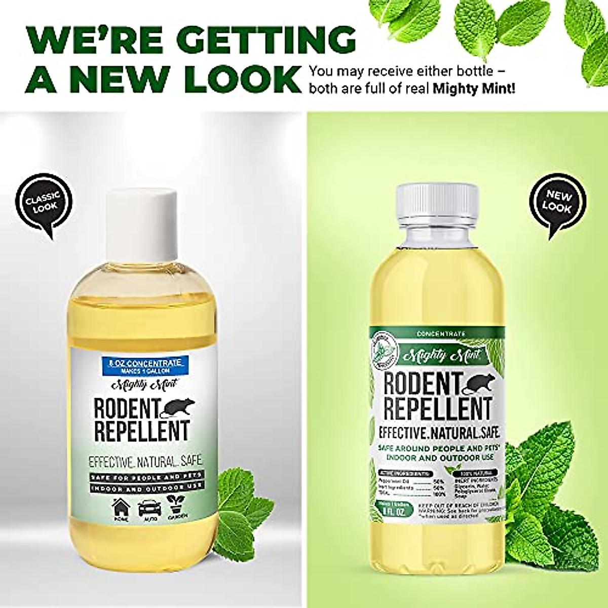 Mighty Mint 8 oz Peppermint Rodent Repellent Concentrate - Makes 1 Gallon - Natural Spray for Rats, Mice, and More