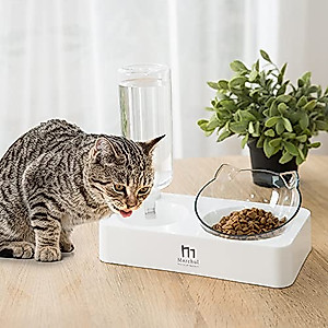 Marchul Tilted Cat Food Bowl Set, Raised Cat Bowls for Food and Water, Food Feeding Dishes for Cats and Puppies