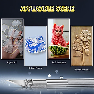 DIYSELF 200 PCS Exacto Knife Blades #11, Exacto Knife Replacement Blades, High Carbon Steel #11 Blades Refills with Storage Case, Exacto Blades 11 for Craft, Hobby, Scrapbooking, Stencil, Leather