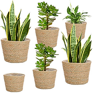 Mumufy 6 Pcs Seagrass Planter Basket Flower Pots Cover Plant Baskets Hand Woven Plant Basket Storage Containers with Plastic Liners for Indoor Outdoor Flower Pots Decoration 10, 7, 8.3 Inch(Classic)
