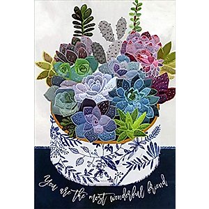 Colorful Succulent Pot of Flowers Birthday Card for Friend
