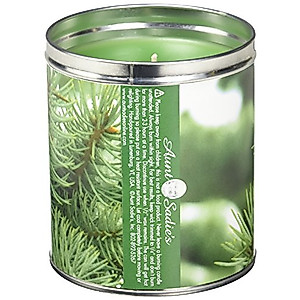 Aunt Sadies 1102 Candles Boughs, Famous Pine, Tree-in-a-Can, 4 by 3.25-inches, Green