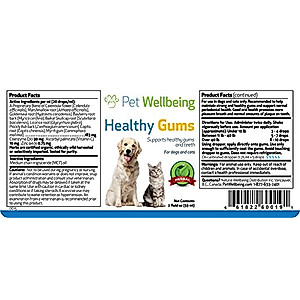 Pet Wellbeing - Healthy Gums for Cats - Natural Support for for Healthy Gums, Teeth and Breath in Felines - 2oz (59ml)