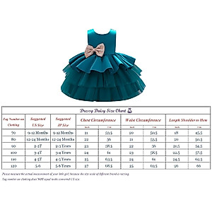 Dressy Daisy Baby Girls' Special Occasion Dresses Wedding Flower Girl Tiered Dress Ball Gown with Headband Size 9-12 Months, Teal
