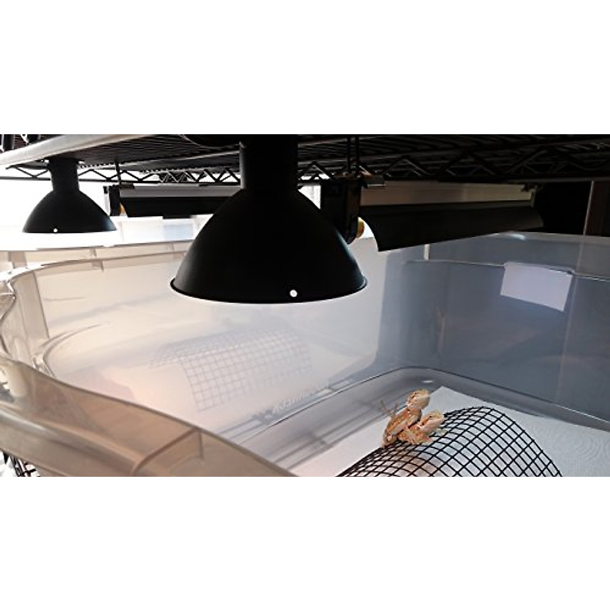 Carolina Custom Cages Reptile GU10 Halogen Dome Fixture with 54" AC Cord and Switch