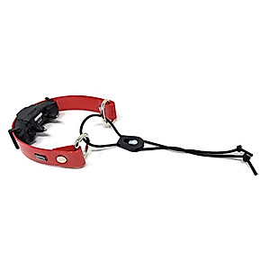 Sparky Pet Co - ECollar Replacement Strap - Bungee Dog Collar - Waterproof - Adjustable - Secure Nexus Wheel Lock - for Electronic Training & Invisible Fence Systems - 3/4" (Black)