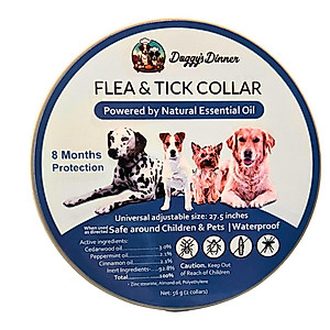 Flea and Tick Collar for Dogs and Cats- Long-Lasting 8-Month Protection Using Natural Plant-Based Oils - Safe for Pets, People and The Environment - 2-Pack Flea Collar for Dogs and Cats