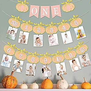 Pumpkin First Birthday Girl 12 Month Photo Banner for First Birthday Our Little Pumpkin is Turning One Decorations Pumpkin Birthday Decorations Girl