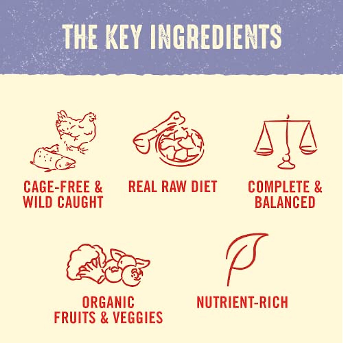 Stella & Chewy’s Freeze Dried Raw Dinner Patties – Crafted for Puppies – Grain Free, Protein Rich Perfectly Puppy Chicken & Salmon Recipe – 14 oz Bag