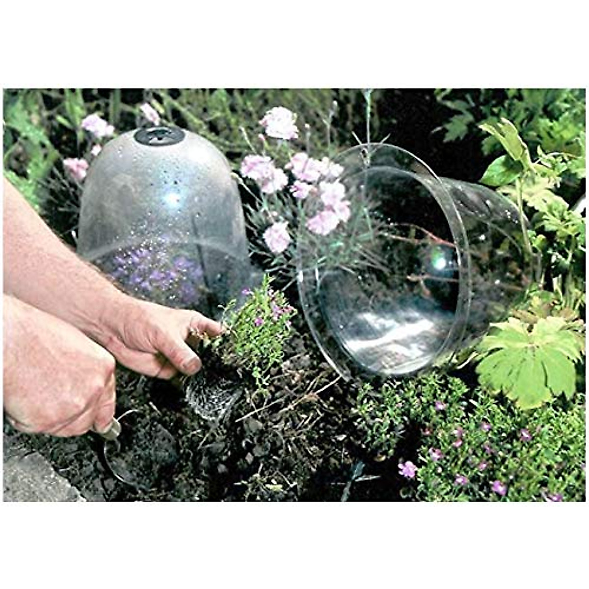 KiaoTime Pack of 10 Reuseable 10" Plastic Greenhouse Garden Bell Cover Germination Cover Frost Guard Freeze Protection Dome with Bonus 30 Metal Stakes+10 Tags