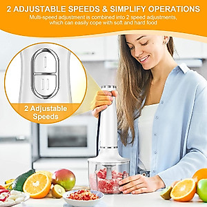 Immersion Blender Handheld, 5-in-1 Hand Blender for Kitchen, 2-Speed Stirrers Electric Whisk with 16.9OZ Food Chopper, 20.3OZ Container, Egg Whisk for Puree Infant Food Smoothies Sauces Soups