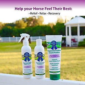 Dr. Milt's Horse Topical Epsom Salt Pain Relief Ointment Rub: Poultice and Liniment Fortified with Arnica for Horses and Animals. 2 Pack - 8oz Spray