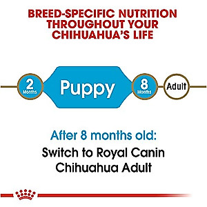 Royal Canin Breed Health Nutrition Chihuahua Puppy Dry Dog Food, 2.5 lb