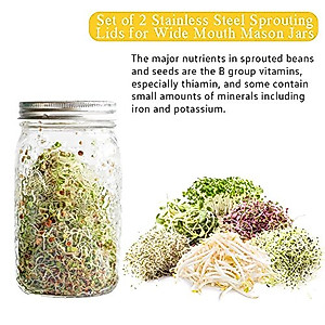 Sprouting Jar Strainer Lid - For Growing Organic Sprouts & Sprouter Screens - 304 Stainless Steel