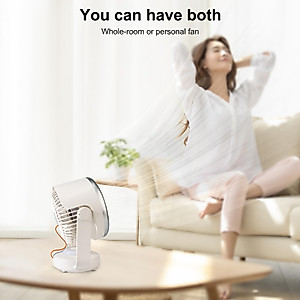 HONEYYEAR Desk Air Circulation Fan 10 inch, 110°oscillation Fan, 2024 New Portable Table Fan, 2 level bright LED light, 90°vertical tilt, Personal Quiet Cooling Fan for Home Office Bedroom Outdoor