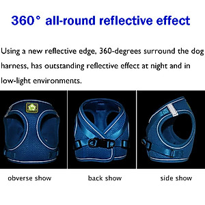 FEimaX Dog Harness and Leash Set, No Pull Breathable Soft Mesh Puppy Vest Harness Reflective Adjustable Pet Harnesses for Small Medium Dogs and Cats - Outdoor Easy Control for Walking