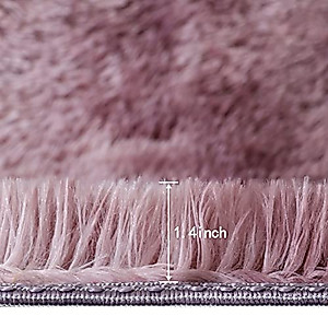 TEWWET Fluffy Rugs for Bedroom 6x9, Soft Shaggy Bedroom Rug, Fuzzy Plush Area Rugs for Dorm Living Room Kids Room, Non-Slip Indoor Floor Accent Area Carpet（Pink）