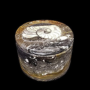 Ammonite and Belemnite Small Circular Container