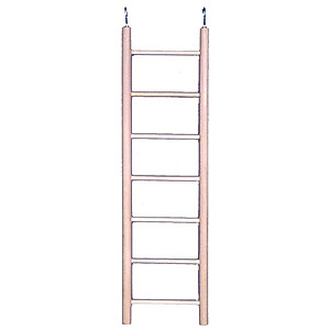 Penn-Plax 7-Step Wooden Bird Ladder | Provide Exercise and entertainmet for Your Bird | Looks Great | Durable and Safe