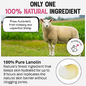 Dr. Lipp Original Nipple Balm 0.27 fl oz/8ml – 10-in-ONE Multi-Purpose Moisturizer for Dry Skin, Lips, Hair, Cuticles & More – 100% Natural Lanolin Nipple Cream & Lip Balm – Fragrance & Cruelty Free