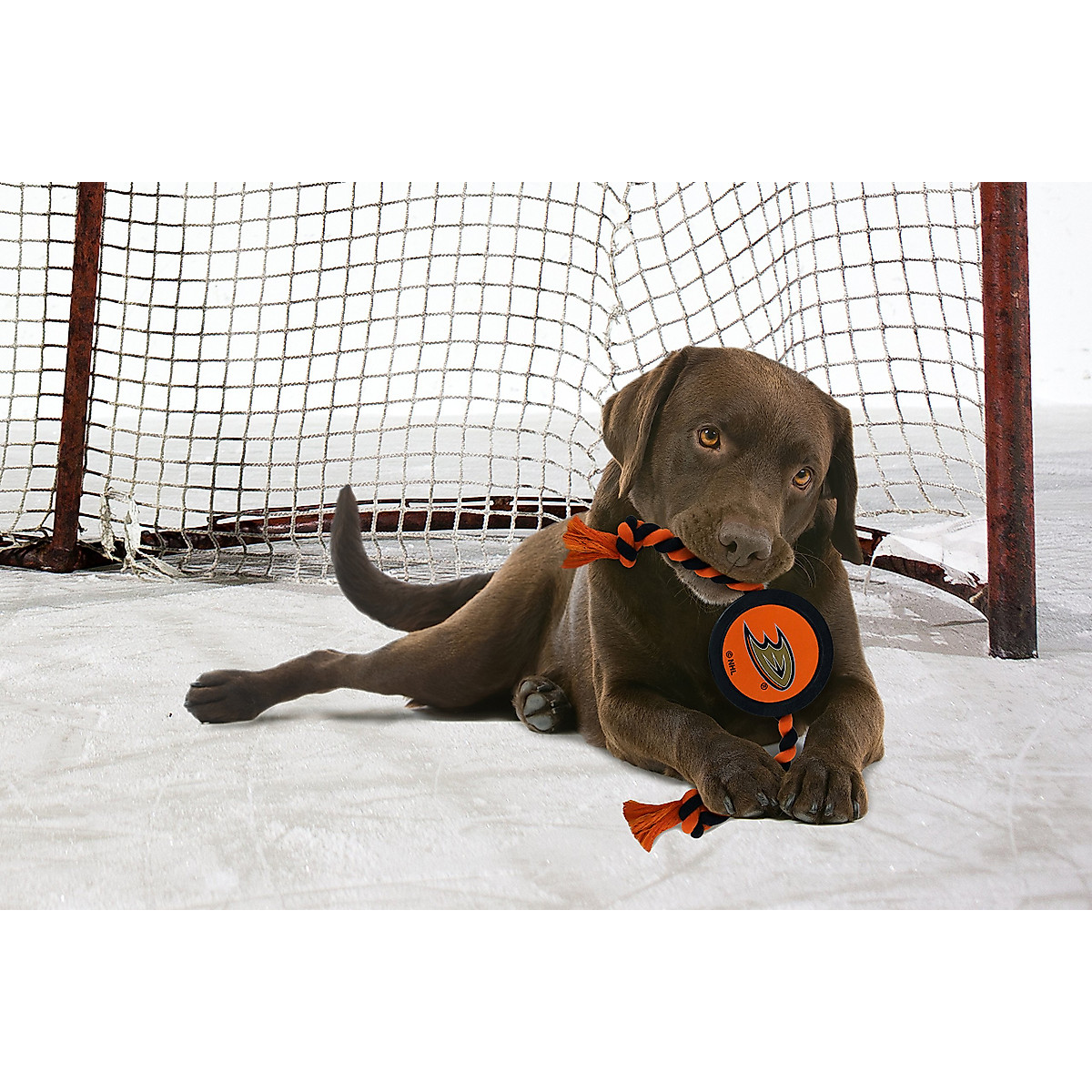 Pets First Dog Rubber Toy Tough Rubber with Heavy-Duty Dog Rope Tug Toy. NHL Anaheim Ducks Puck Toy for Dogs & Cats. Play Hockey with Your Pet with This Licensed Dog Puck Rubber Cool Toy!
