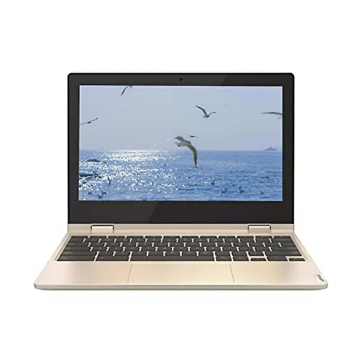 Lenovo Chromebook Flex 3 11.6" HD (1366 x 768) TouchScreen 2-in-1 Laptop, Intel Celeron N4020, 4GB DDR4, 64GB eMMC, Webcam, WiFi, Bluetooth, MicroSD Card Reader, Chrome Os, GCube 64GB Micro SD Card