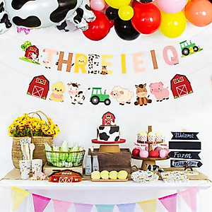 Sursurprise Farm 3rd Birthday Decorations, THREE I E I O Farm Animals Banner for Barnyard Farm Birthday Party Supplies