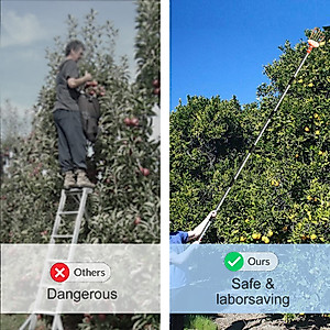 Walensee 13FT Fruit Picker, Adjustable Fruits Picker Tool with Lightweight Stainless Steel Pole and Big Basket, Fruit Catcher Equipment Tree Picker for Apples Mango Pear Orange Avocados Fruit Picking