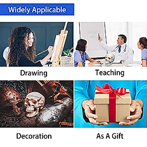 Veipho Human Skull Model, Life Size Skull Anatomy Model with Removable Skull Cap and Articulated Mandible, 2-Part Human Skull Anatomical Model for Patient Science Education, Full Set of Teeth