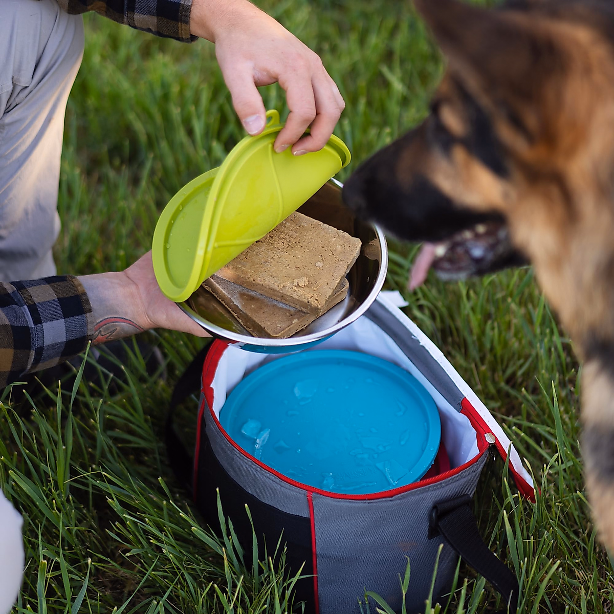 Messy Mutts 6-Piece Set | Three Stainless Steel Bowls and Three Colorful Silicone Lids | Sealable Travel Containers | Portable Food/Water Dishes for Pets | Medium, 1.5 Cups