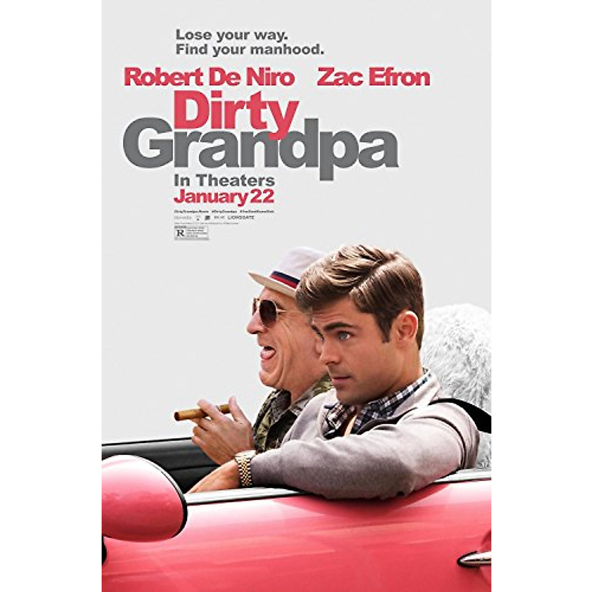 DIRTY GRANDPA Original Movie Poster 27x40 DS - VERSION B - ROBERT DENIRO - ZAC EFRON