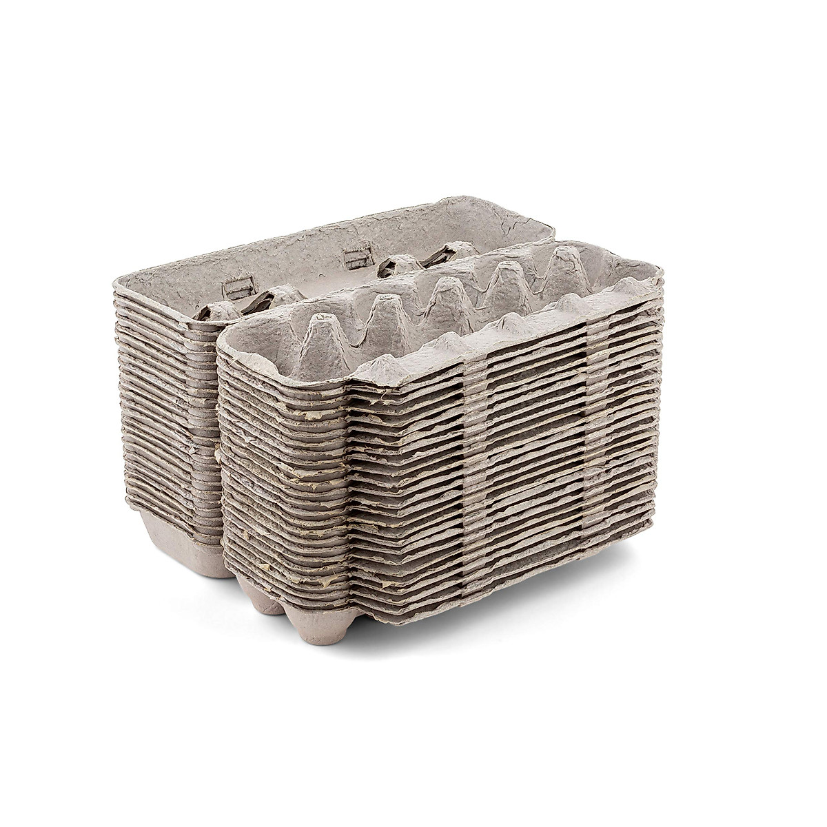 MT Products Blank Natural Pulp Egg Cartons Holds Up Twelve Eggs - 1 Dozen (25 Pieces) and Plastic Deviled Egg Trays With Clear Lid For Six Egg Halves (Set of 12)