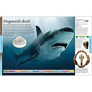 Dinosaurs: A Visual Encyclopedia, 2nd Edition (DK Children's Visual Encyclopedias)