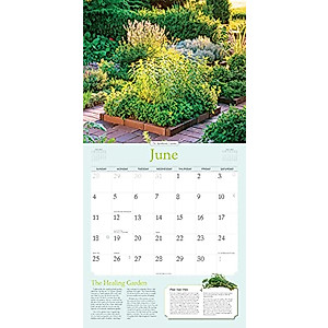 Rosemary Gladstar's Herbs Wall Calendar 2023: Recipes and Remedies for Health and Home