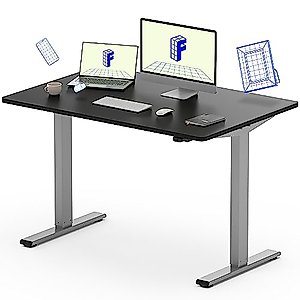 FLEXISPOT Electric Height Adjustable Desk with Desktop, 48 x 30 Inches, Standing Desk Stand Up Desk Workstation (Silver Frame + 48 in Black Top)