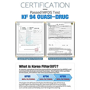 HAPPYDAY , 30 Packs, Made in KOREA Premium KF94 Micro Dust Protection Individually Packaged Black Face Mask for Adult