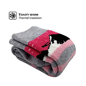 HIGHCAMP 2 Pairs Kids Merino Wool Ski Snowboard Socks Boy Girl Toddler Snow Socks/Alps Pink, M