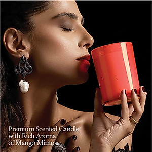 ESNA HOME Luxury Highly Scented Soy Candle | Natural Lavender Essential Oils Aromatherapy Candles for Relaxation | Unique Gifts for Women | Living Room Decor | 8.8oz 50 Hours Long Lasting Clean Burn