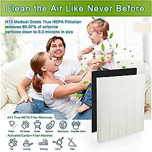 Flintar C545 True HEPA Replacement Filter S, Compatible with Winix C545 Air Purifier, Compares to Winix S Filter 1712-0096-00, 1 H13 Grade True HEPA + 4 Activated Carbon Filters