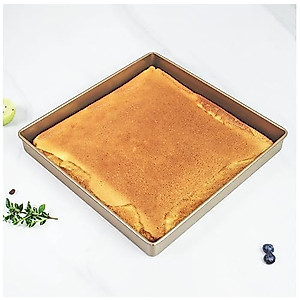 Dhjrefhhd 1Pcs Square Baking Pan Non-stick Coating Cake Baking Pan For Bread Chicken Wings Meats Cookies Cake Molds Baking Tray Golden