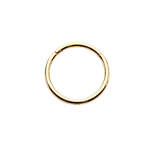 Gold-Tone 316L Surgical Steel Hinged Segment Septum Helix Daith Ear Cartilage Nose Ring Hoop 3/8" 9.5mm 18G