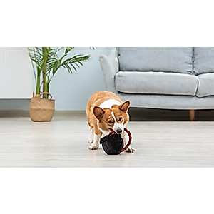 Star Wars for Pets Darth Vader Rope Ring with Plush Head Dog Toy | Darth Vader Chew Toy for Dogs | Dog Toys, Dog Tug Toys, Tug of War Dog Chew Toys, One Size (FF19198)