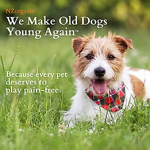 KiwiOrganix NZorganix FlexxiJoints 100% New Zealand Green-Lipped Mussel Powder, Hip & Joint Support Formula for Dogs & Cats, with Glucosamine, Chondroitin 200g (600 Servings)