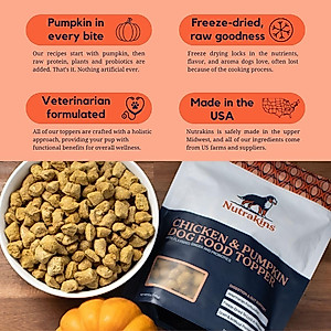 Nutrakins Pumpkin Topper for Dogs - Freeze Dried Dog Treats & Toppers, Raw Flavor Mixers for Meals, Healthy for Picky Eaters, Natural Real Chicken & Wholesome Protein Add Ins, Digestive Health