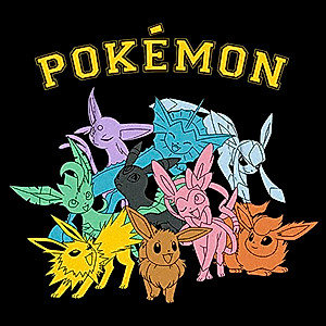 Fifth Sun Men's Pokemon Eeveelutions Pull Over Hoodie - Black - Large