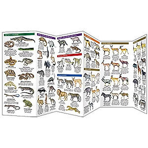 South Africa Wildlife: A Folding Pocket Guide to Familiar Animals in the South African Region (Nature Observation International)