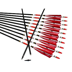 TTFLY FLETCHING 12PCS Red Turkey Feather 31 inches Carbon Arrows Replacement Tips Targeting Arrows Archery for Recurve Longbow Hunting&Practice