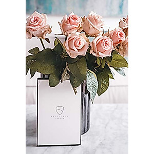 Vaultskin Victoria Crossbody iPhone Leather Wallet Case, Fashionable Bumper for Cards and Cash - Holds up to 8 Cards (iPhone SE (2 & 3 Gen), 6/7 / 8, Red, Leather Strap)