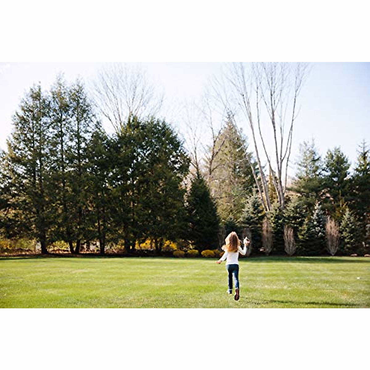 8 Piece Tegu Pocket Pouch Magnetic Wooden Block Set, Tints